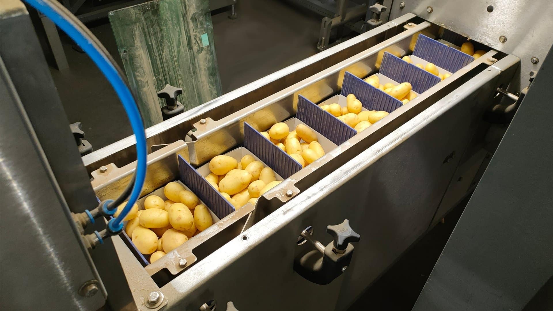 Projects - Manter International