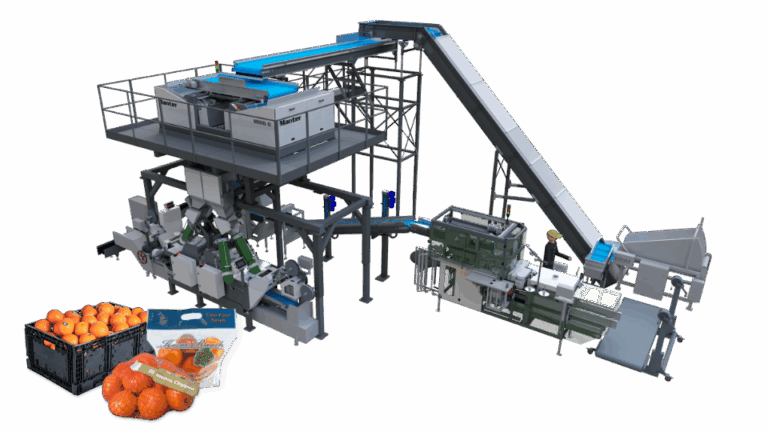 Citrus packaging line - Manter